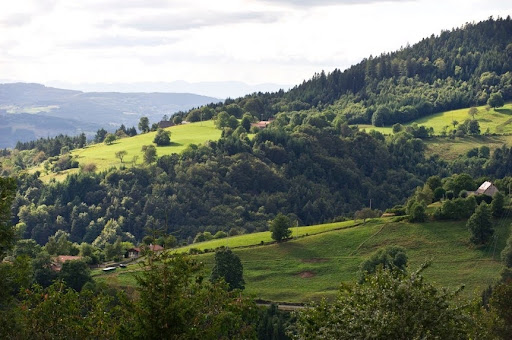 Animateur-trice de projets forestiers térritoriaux | Service des ...